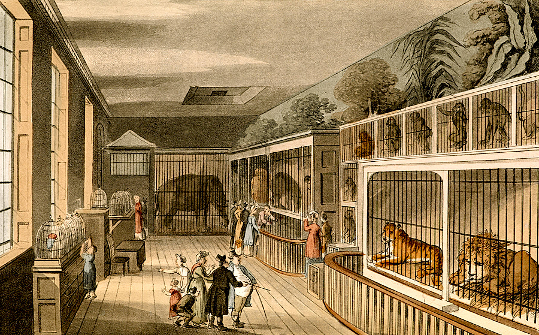 Did Jane Austen Ever See an Elephant? by Diana Birchall - Jane Austen ...